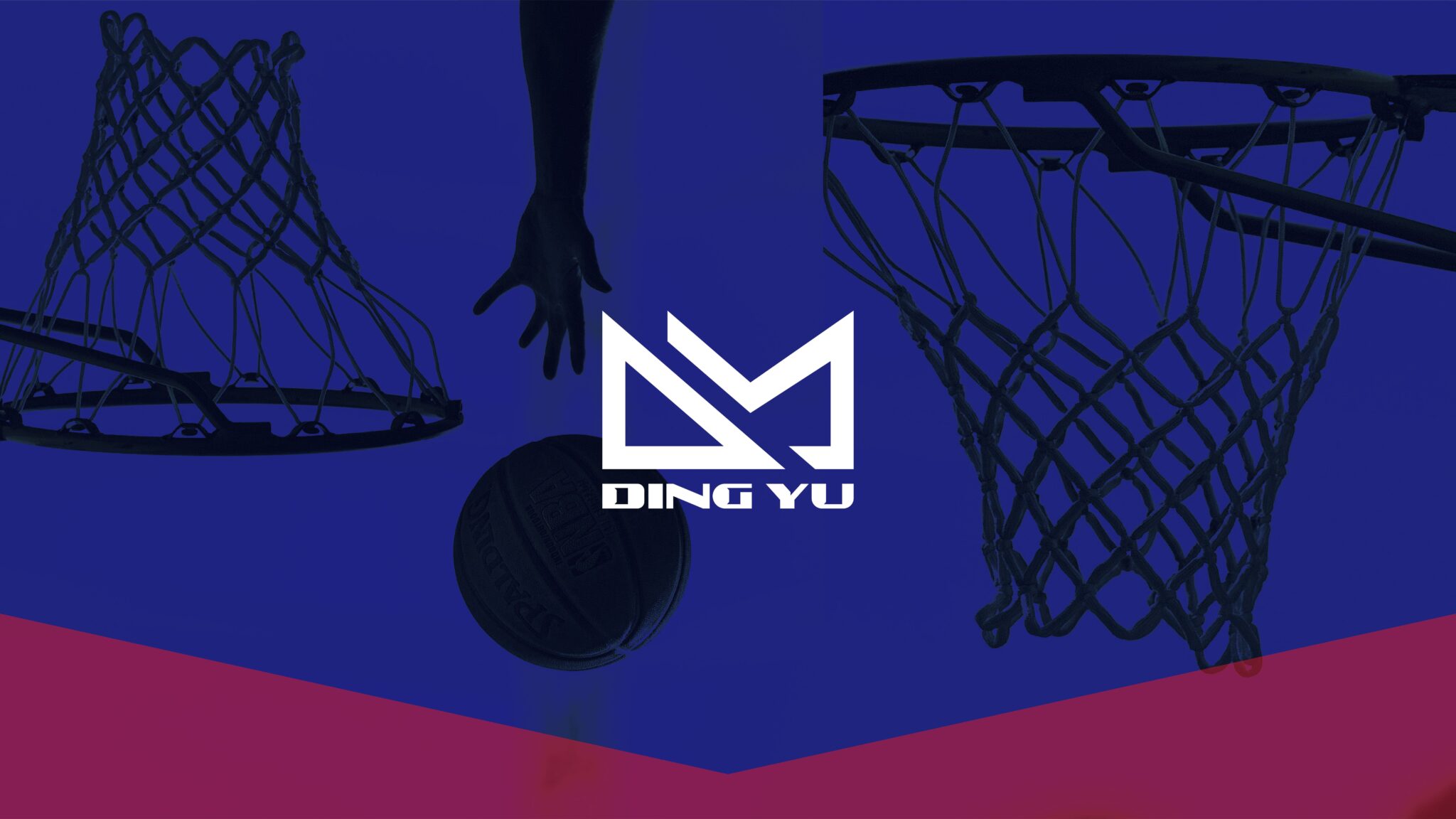 dingyu.com.tw